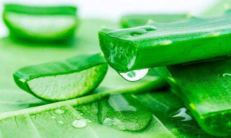 Humectants Skin Benefits (The Multi Secret Ingredient)